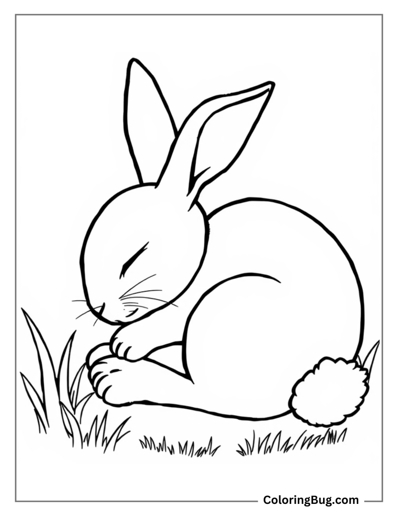 60 Cute Rabbit Coloring Pages (Free Printable PDFs)