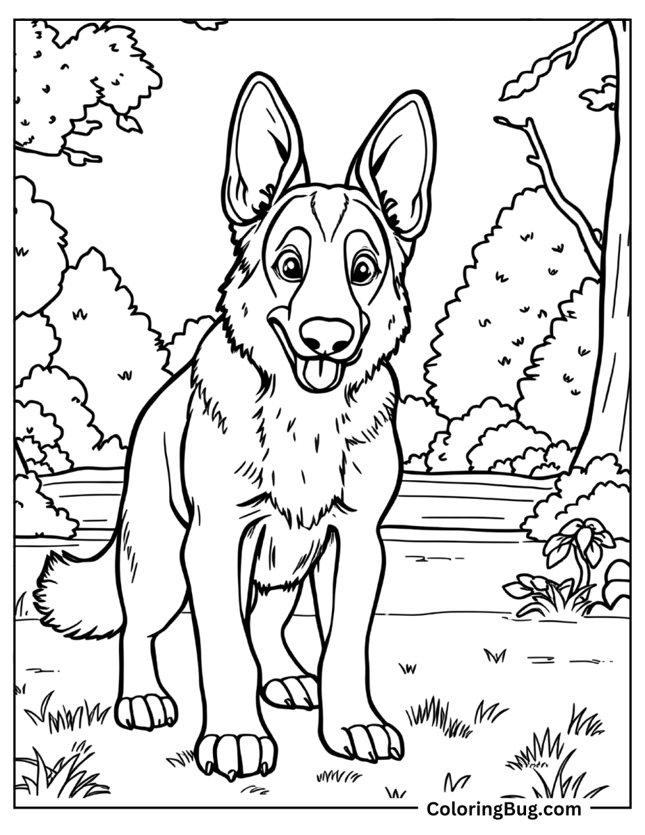 30 German Shepherd Coloring Pages (Free Printable PDFs)