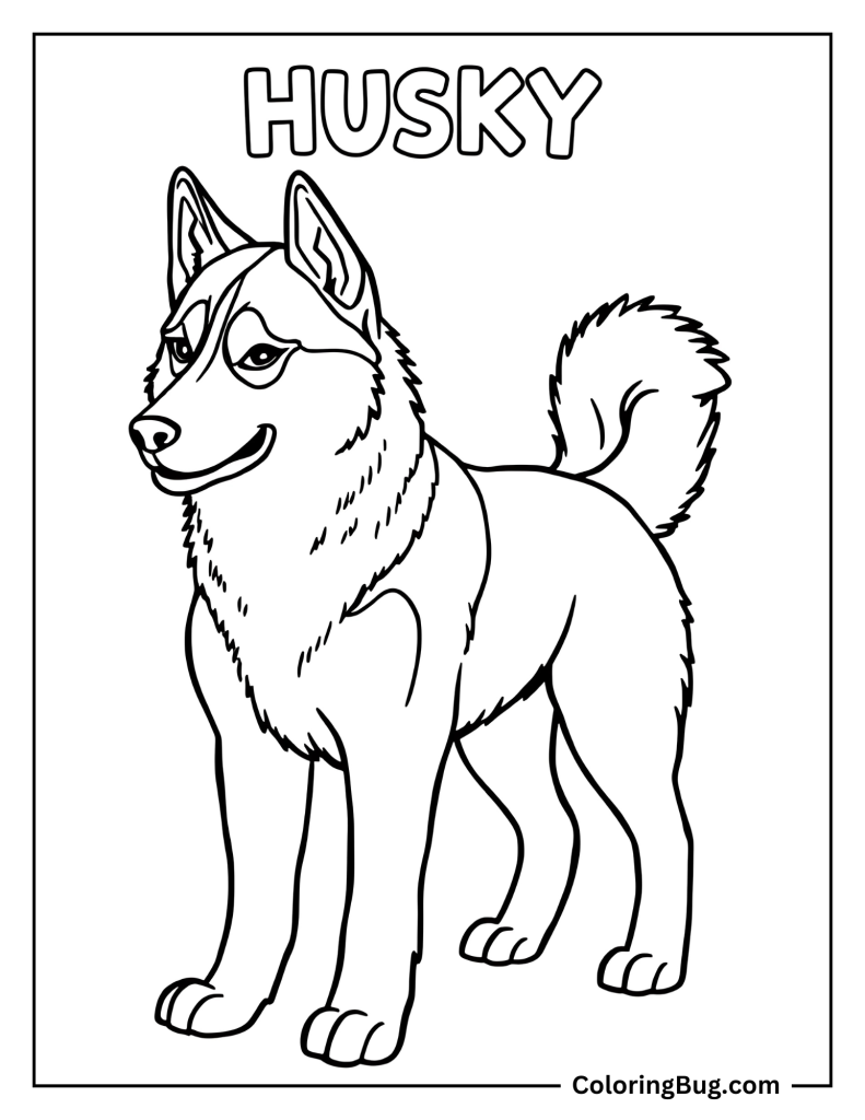 30 Husky Coloring Pages (Free Printable PDFs)