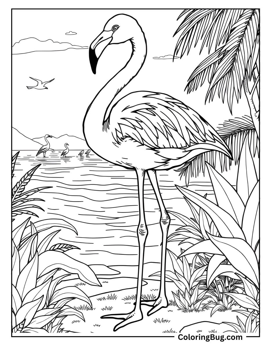 30 Flamingo Coloring Pages (Free Printable PDFs)