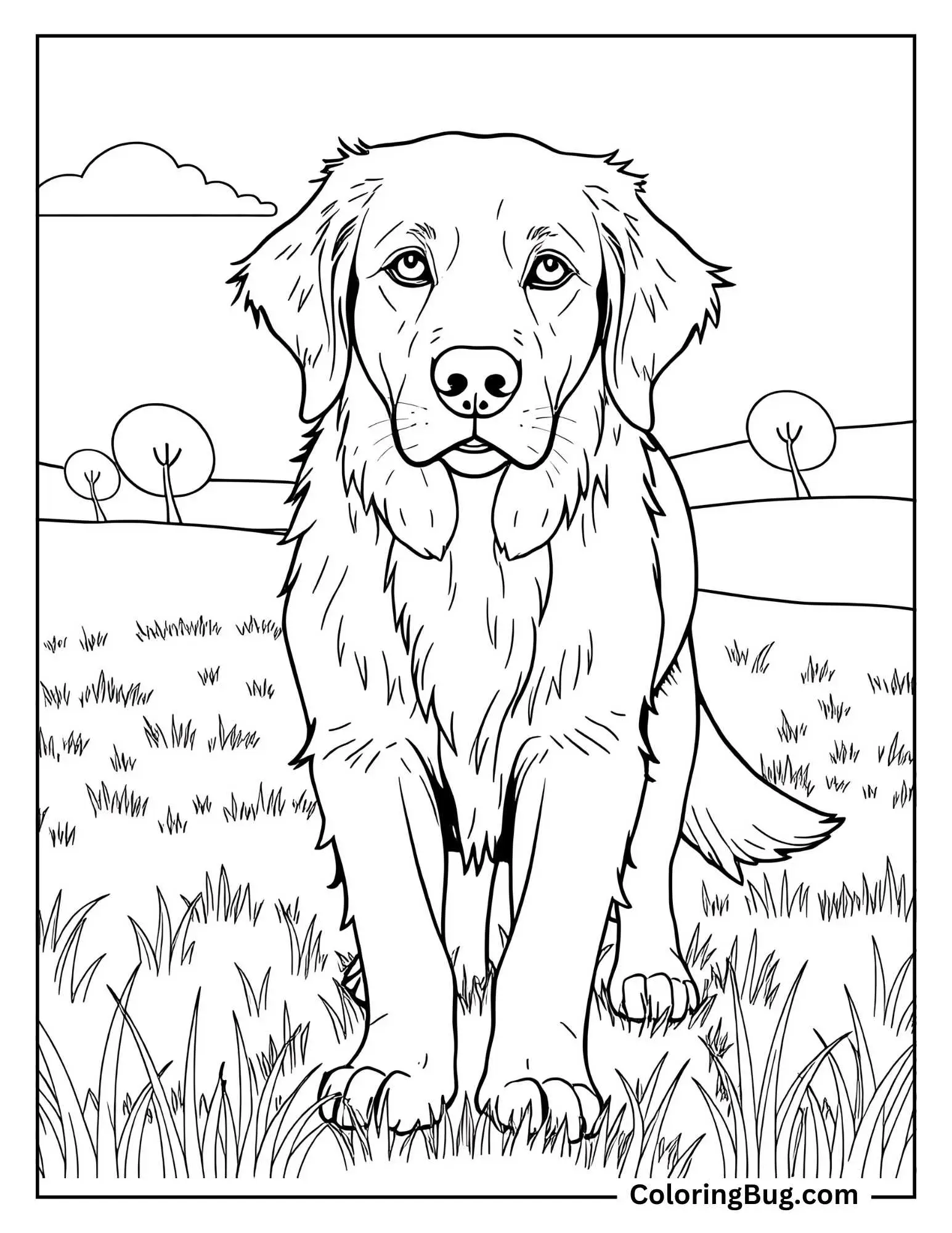 30 Golden Retriever Coloring Pages (Free Printable PDFs)