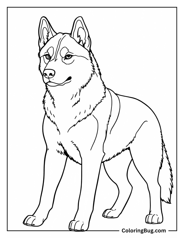 30 Husky Coloring Pages (Free Printable PDFs)