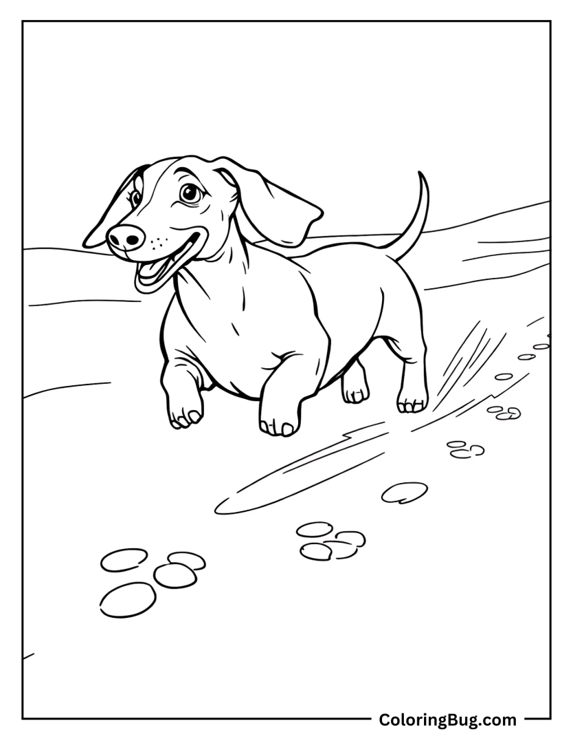 30 Dachshund Coloring Pages (Free Printable PDFs)