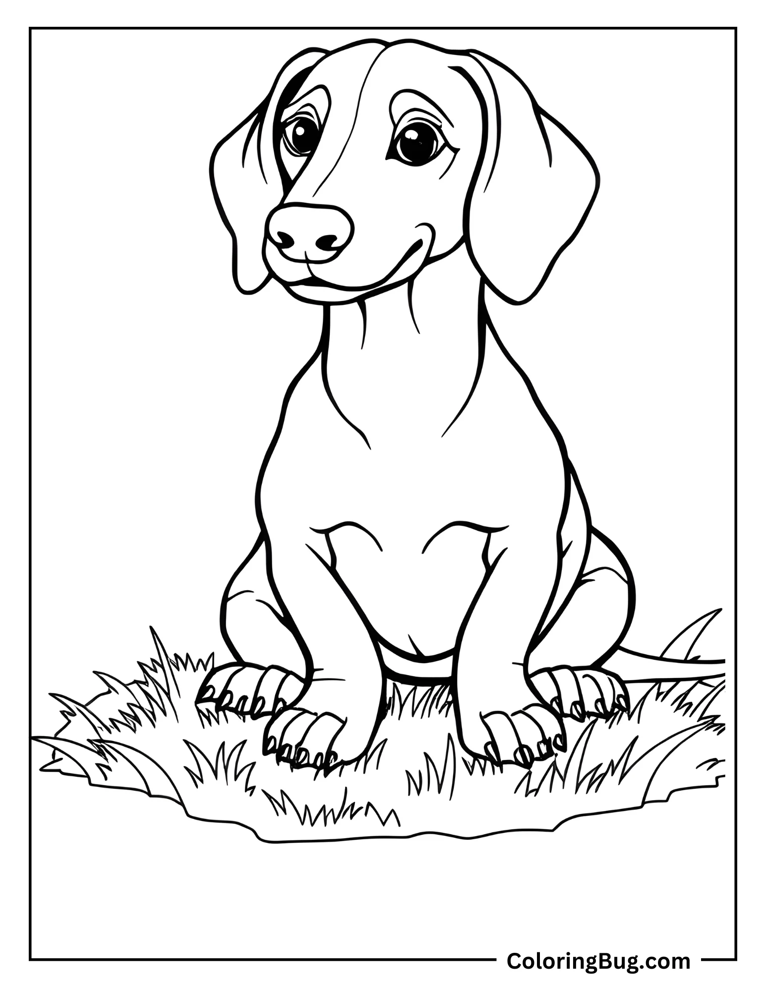 30 Dachshund Coloring Pages (Free Printable PDFs)