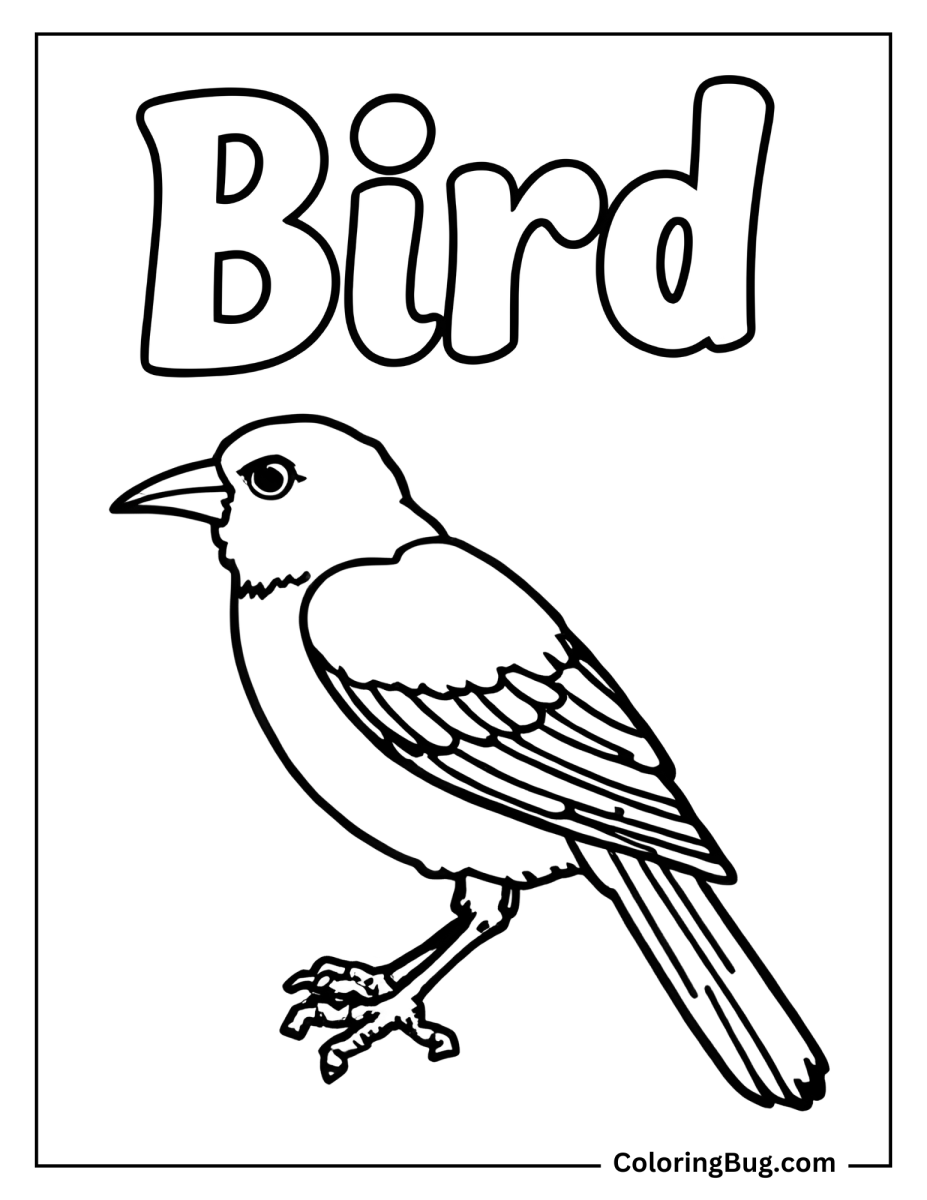 175+ Cute Bird Coloring Pages (Free Printable PDFs)