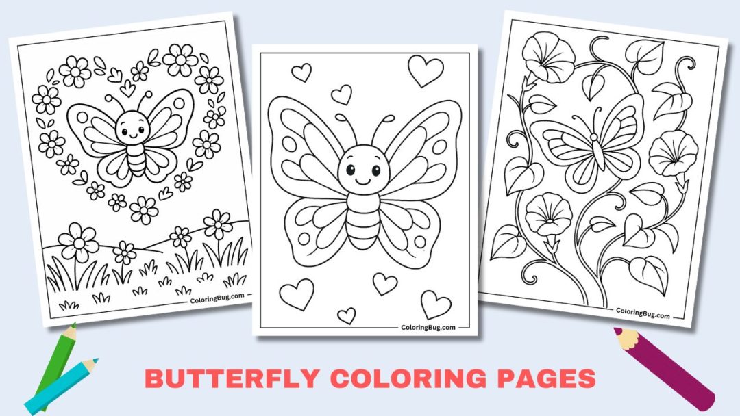 70 Butterfly Coloring Pages (Free Printable PDFs)