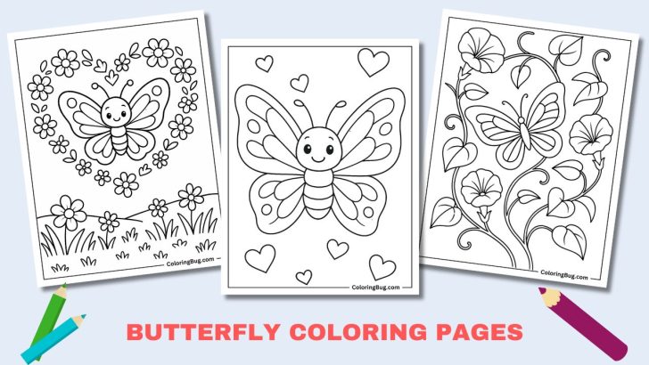 70 Butterfly Coloring Pages (Free Printable PDFs)
