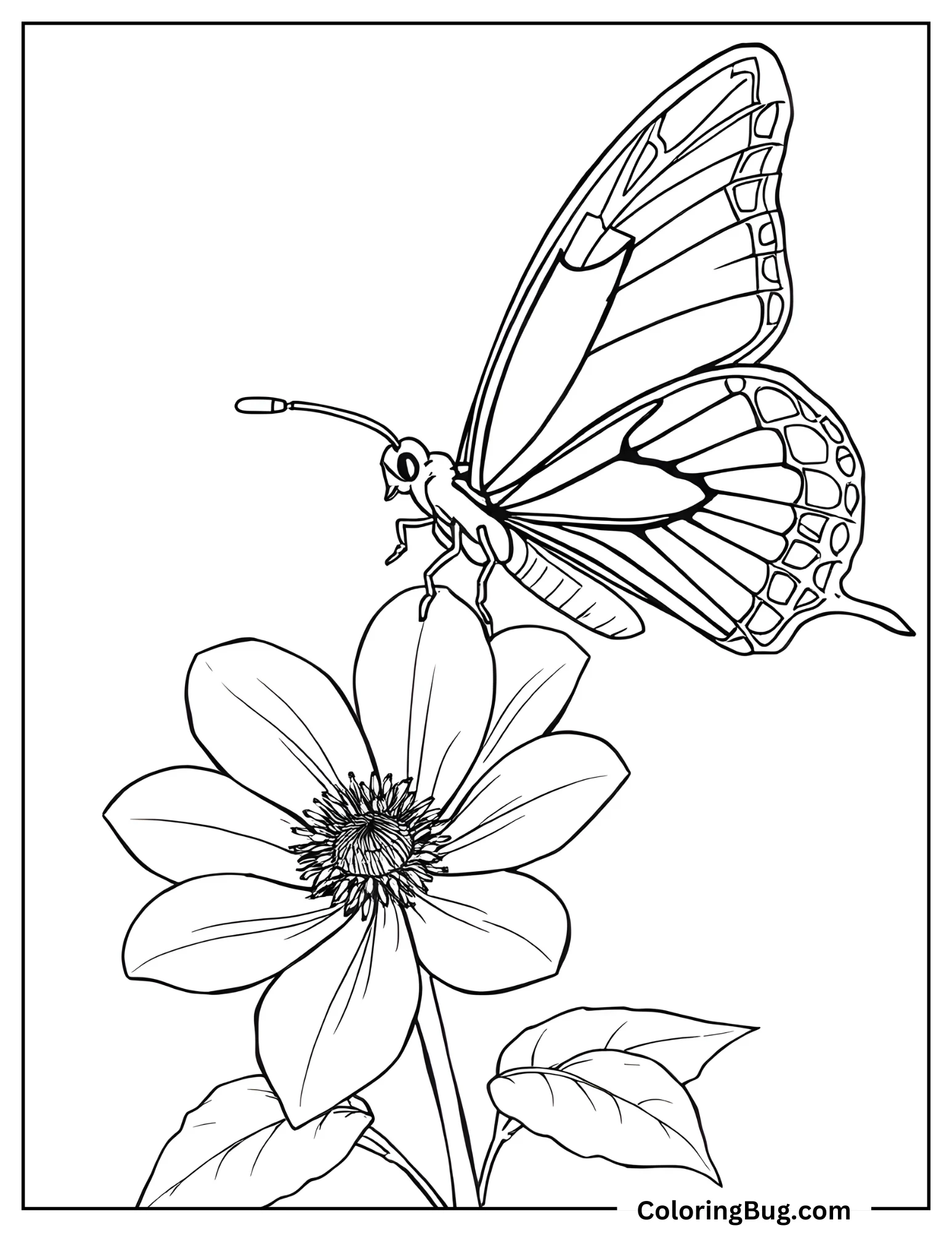82 Cute Butterfly Coloring Pages (Free Printable PDFs)