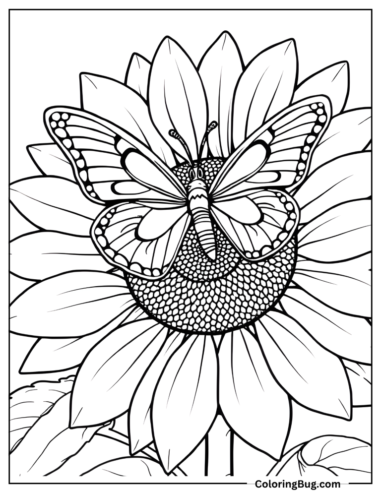 82 Cute Butterfly Coloring Pages (Free Printable PDFs)