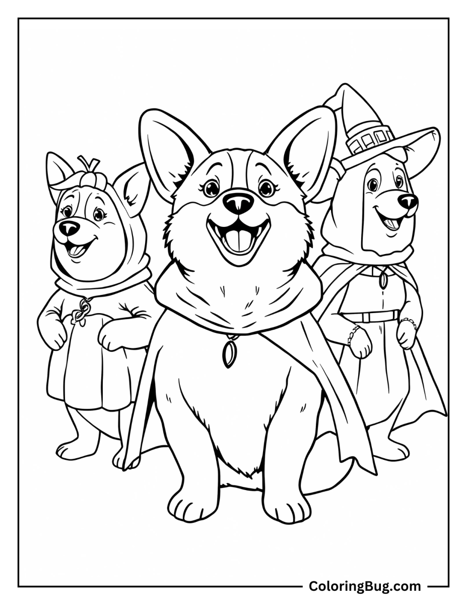 30 Corgi Coloring Pages (Free Printable PDFs)