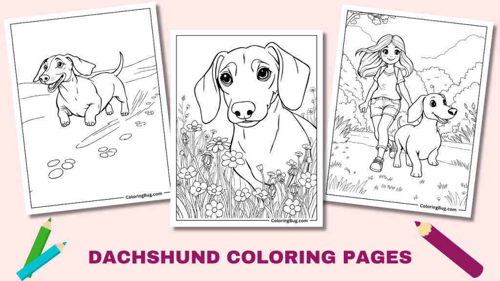 30 Dachshund Coloring Pages (Free Printable PDFs)