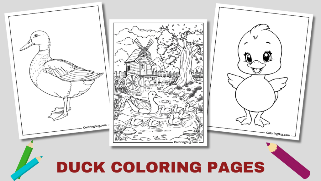 60 Duck Coloring Pages (Free Printable PDFs)