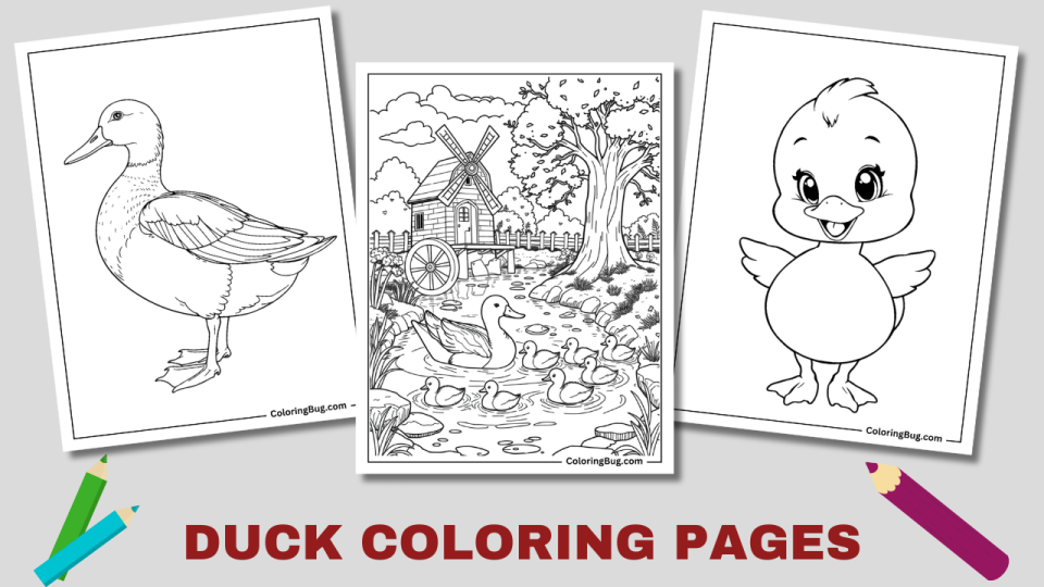 60 Duck Coloring Pages (Free Printable PDFs)