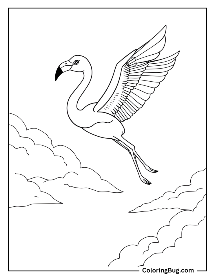 30 Flamingo Coloring Pages (Free Printable PDFs)