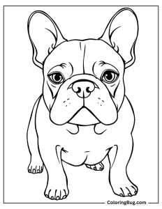 30 French Bulldog Coloring Pages (Free Printable PDFs)