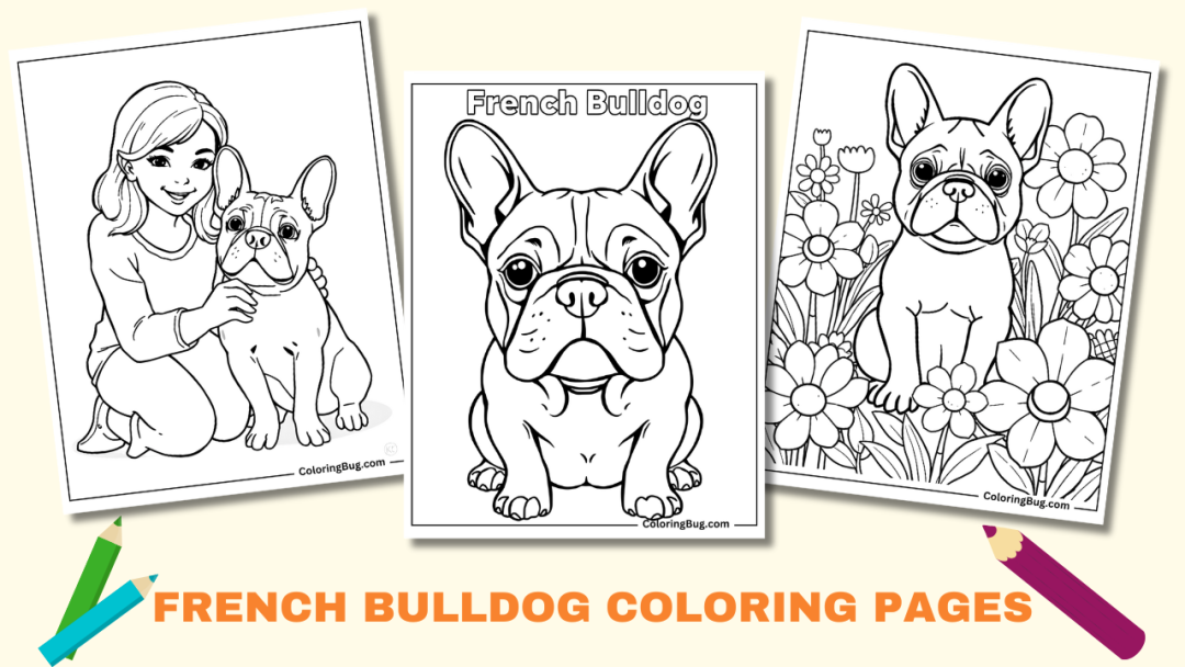 30 French Bulldog Coloring Pages (Free Printable PDFs)