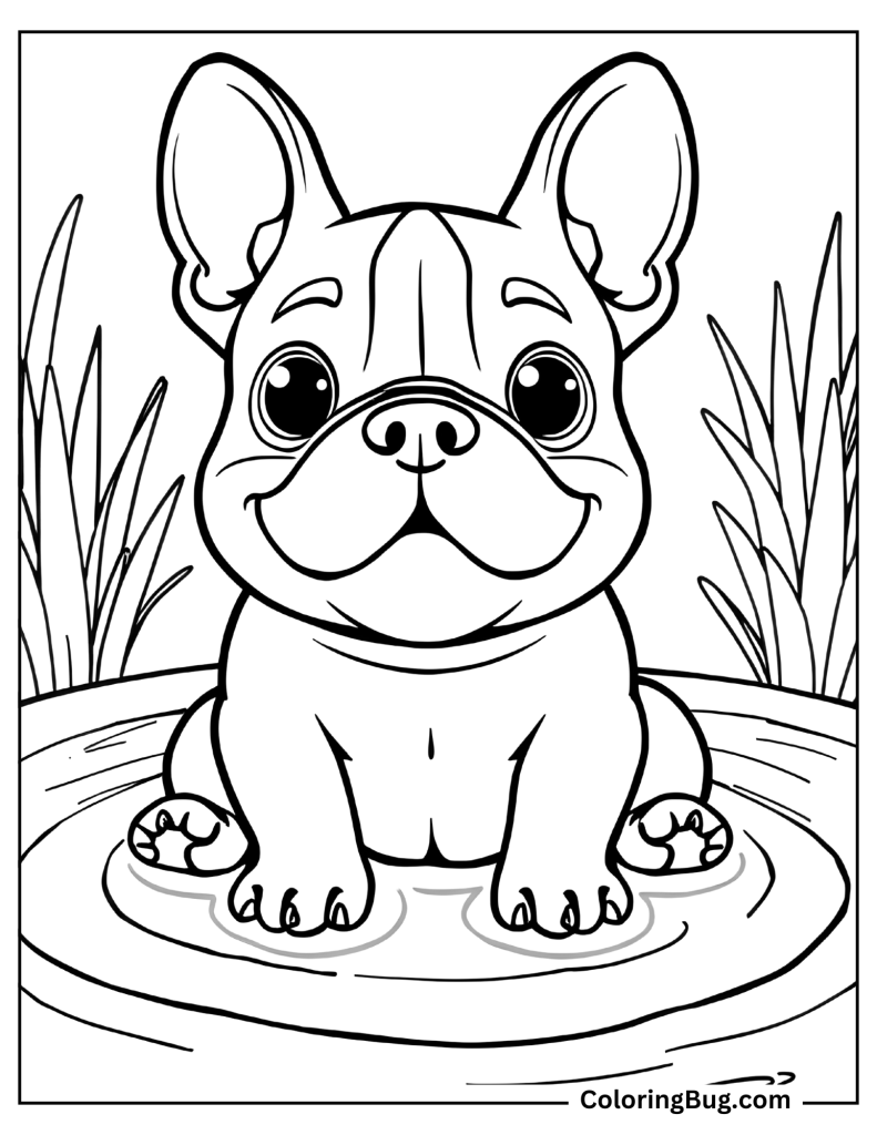 30 French Bulldog Coloring Pages (Free Printable PDFs)
