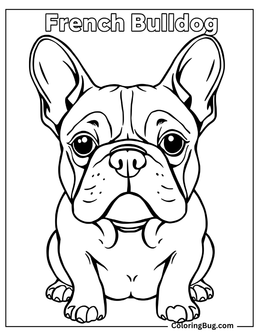 30 French Bulldog Coloring Pages (Free Printable PDFs)