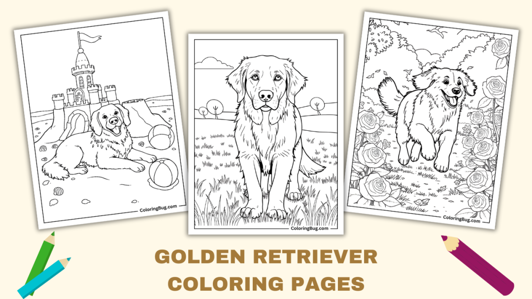 30 Golden Retriever Coloring Pages (Free Printable PDFs)