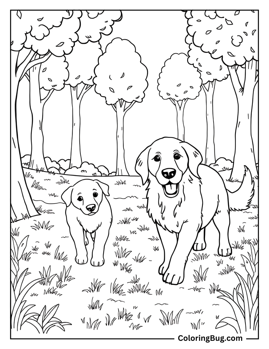 30 Golden Retriever Coloring Pages (Free Printable PDFs)