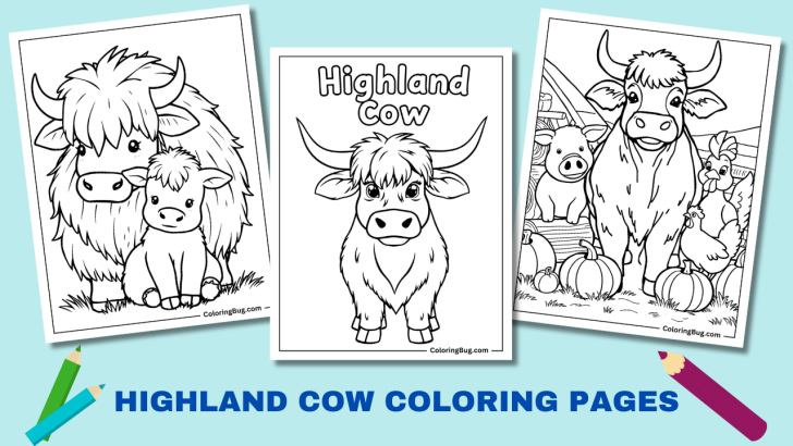 40 Highland Cow Coloring Pages (Free Printable PDFs)