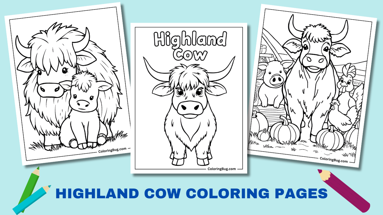 40 Highland Cow Coloring Pages (Free Printable PDFs)