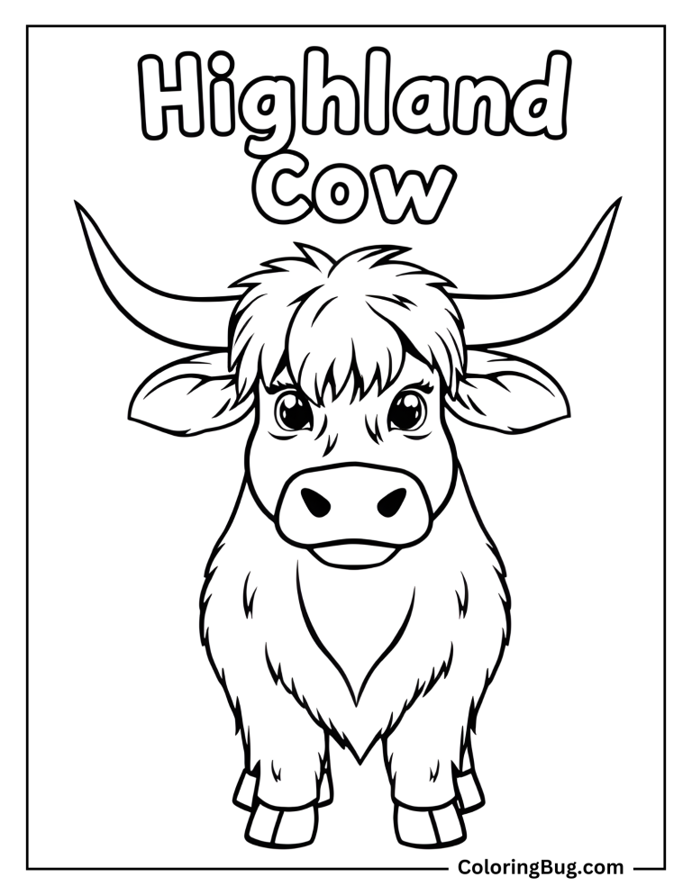 40 Highland Cow Coloring Pages (Free Printable PDFs)