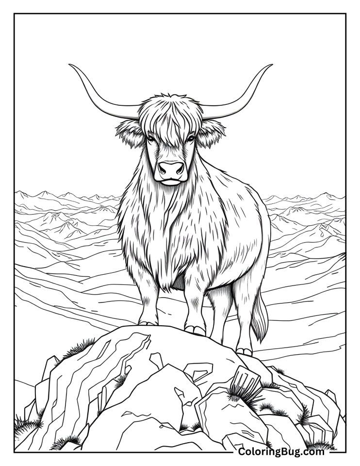 40 Highland Cow Coloring Pages (Free Printable PDFs)