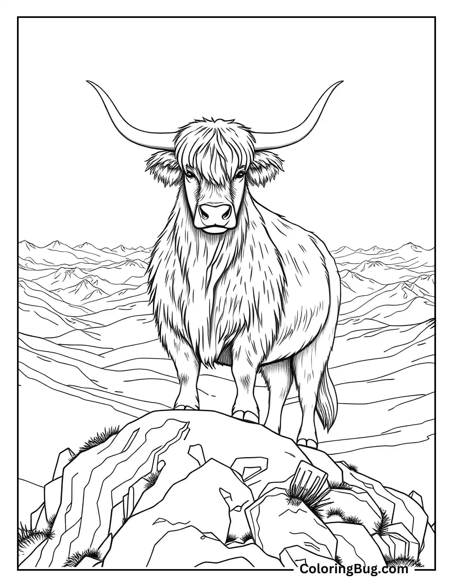 40 Highland Cow Coloring Pages (Free Printable PDFs)