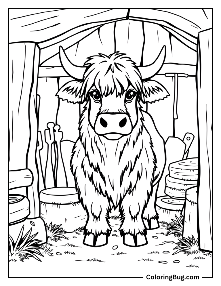40 Highland Cow Coloring Pages (Free Printable PDFs)