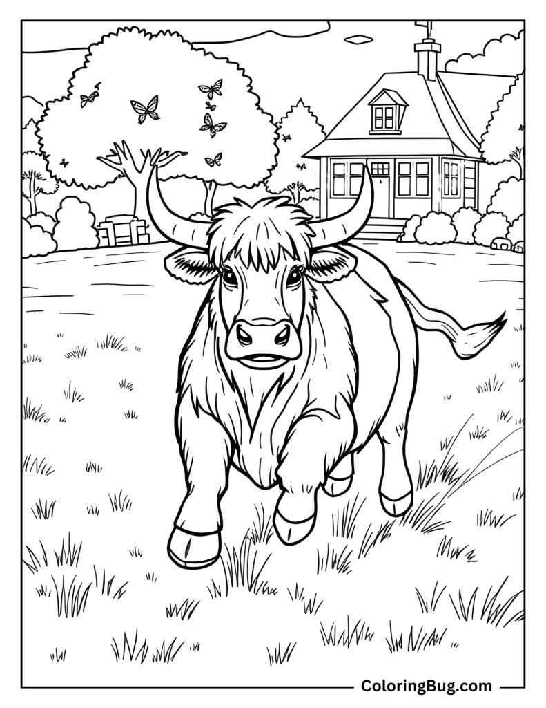 40 Highland Cow Coloring Pages (Free Printable PDFs)