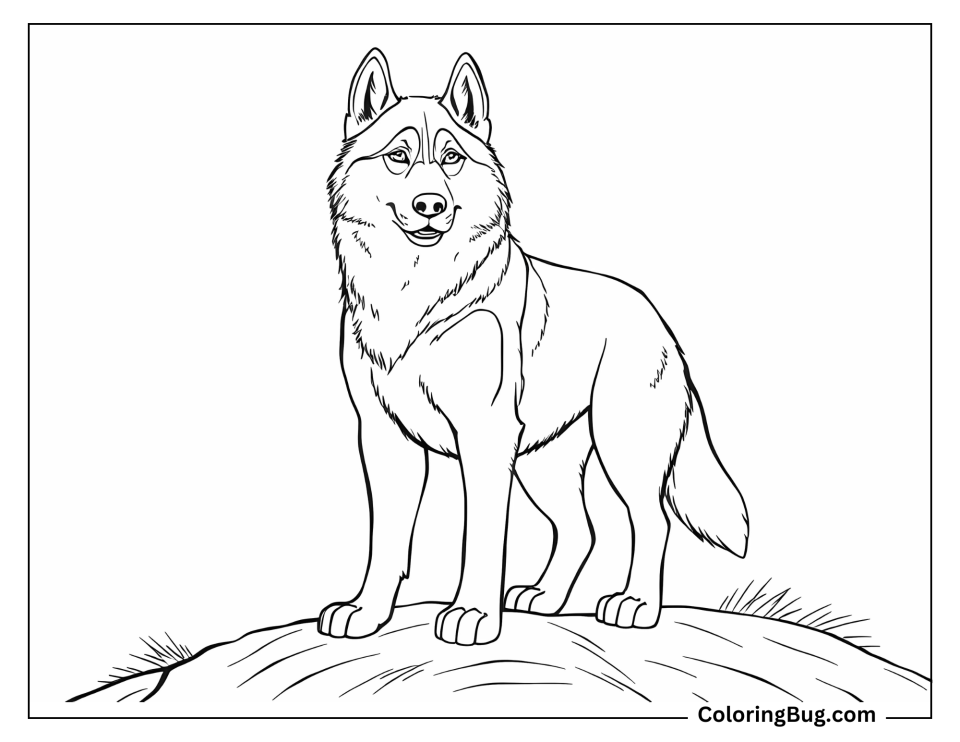 30 Husky Coloring Pages (Free Printable PDFs)