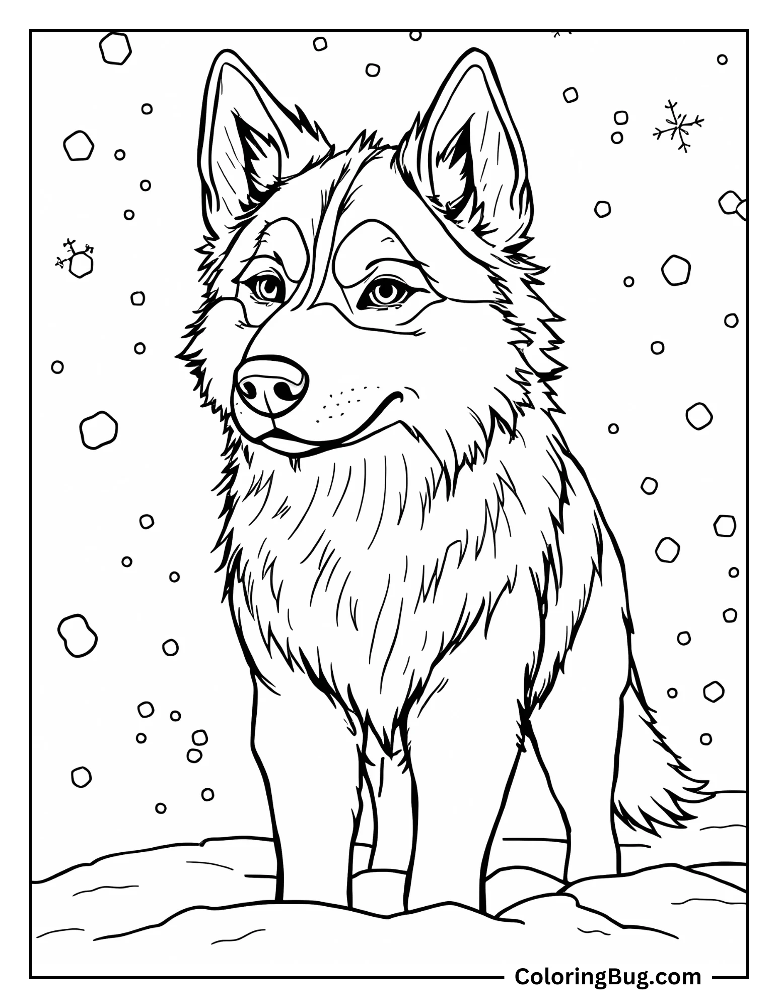 30 Husky Coloring Pages (Free Printable PDFs)