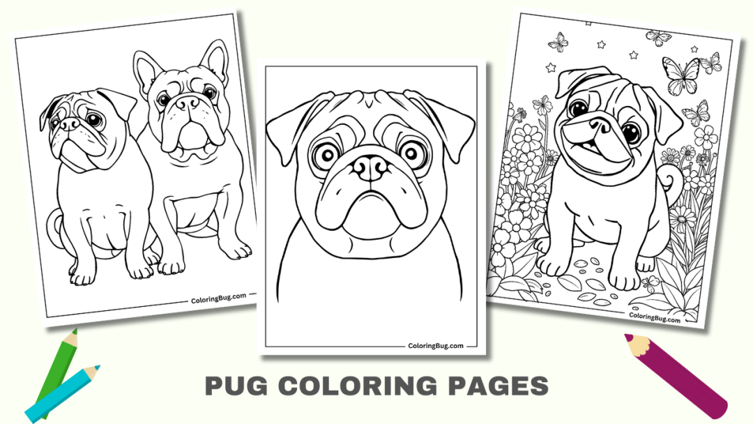 30 Cute Pug Coloring Pages (Free Printable PDFs)