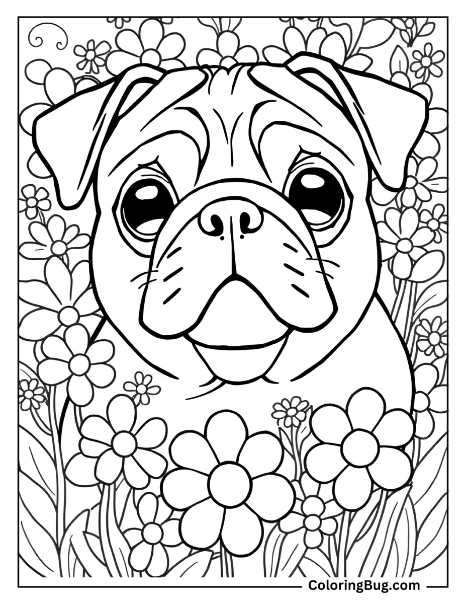 32 Cute Pug Coloring Pages (Free Printable PDFs)