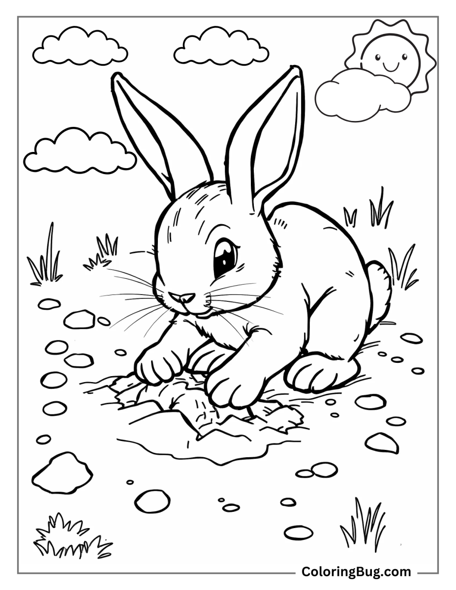 60 Cute Rabbit Coloring Pages (Free Printable PDFs)