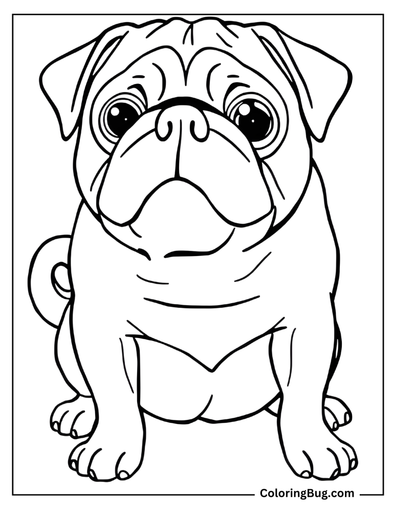 32 Cute Pug Coloring Pages (Free Printable PDFs)