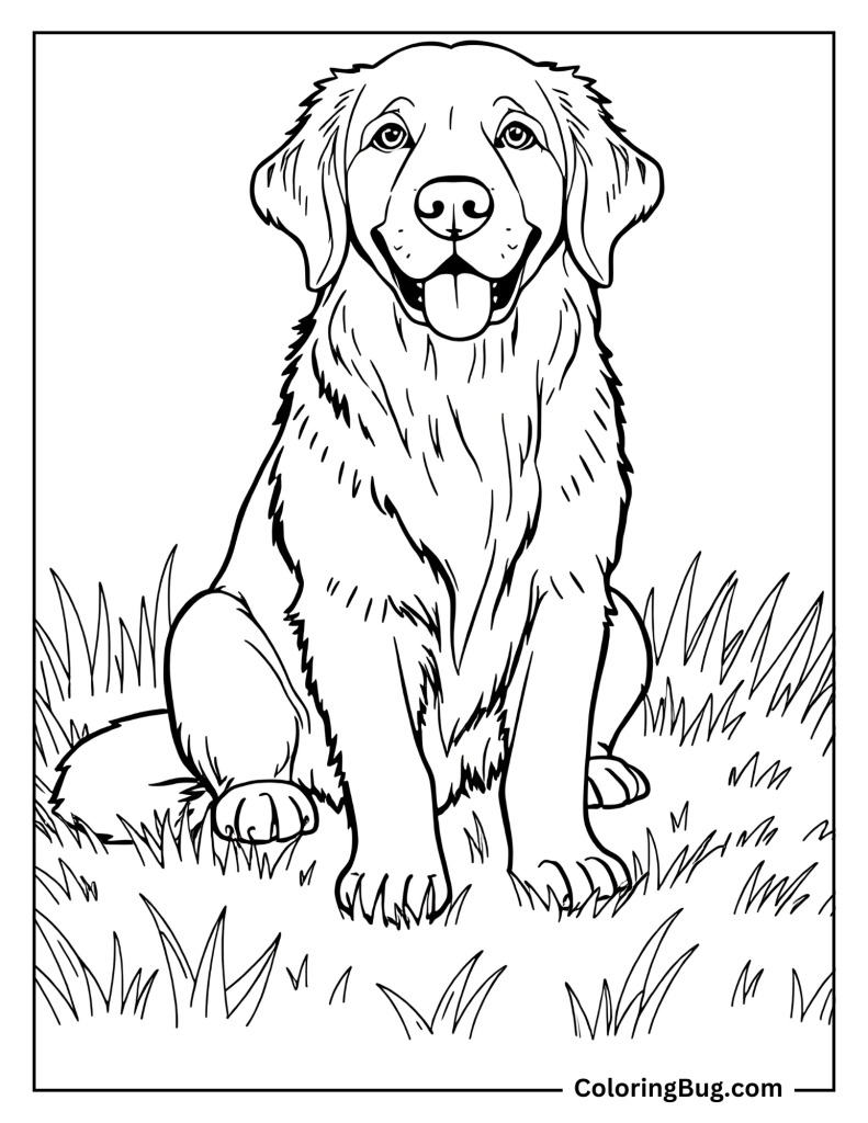 30 Golden Retriever Coloring Pages (Free Printable PDFs)