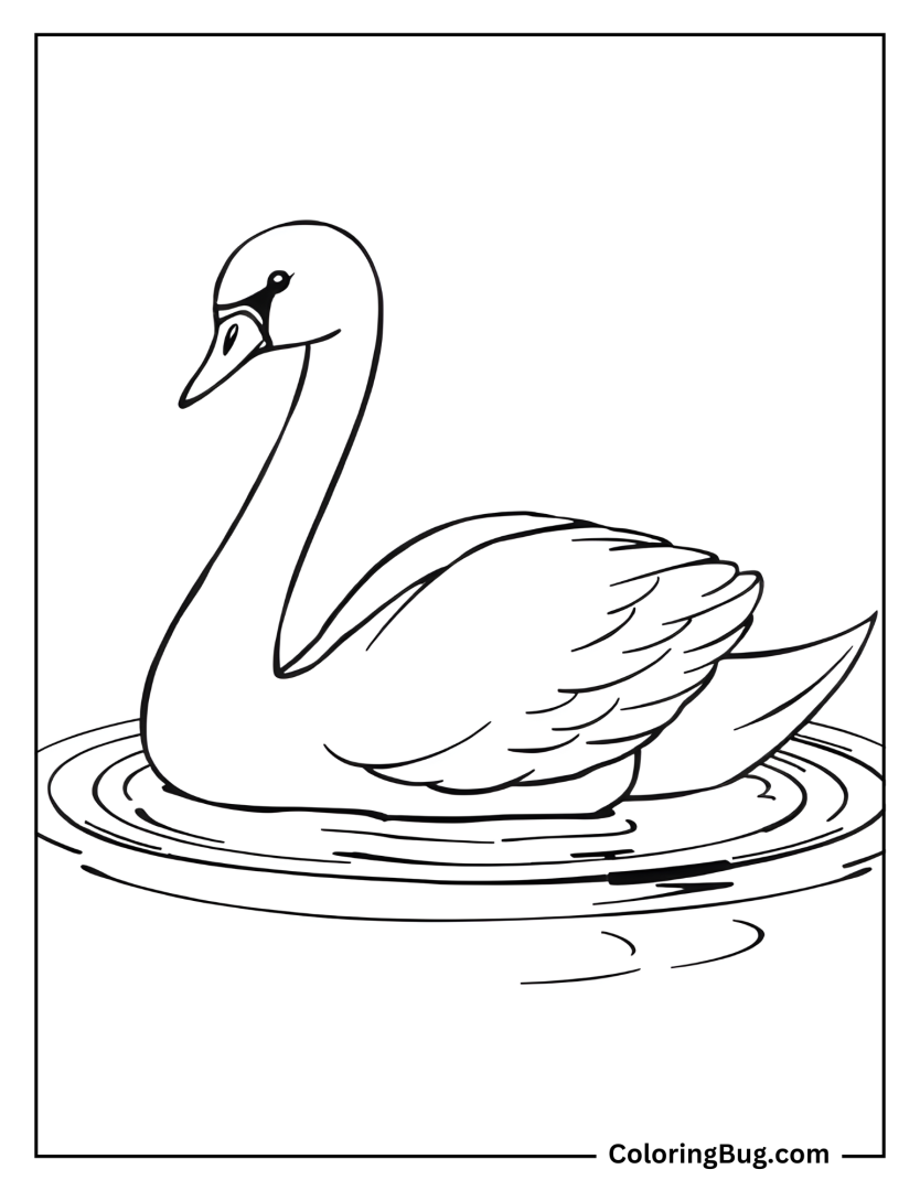 26 Swan Coloring Pages (Free Printable PDFs)