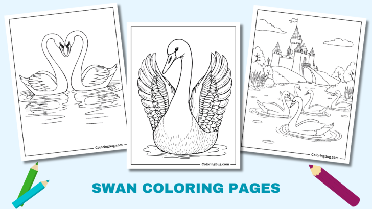 26 Swan Coloring Pages (Free Printable PDFs)