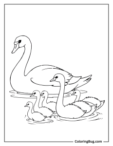 26 Swan Coloring Pages (Free Printable PDFs)