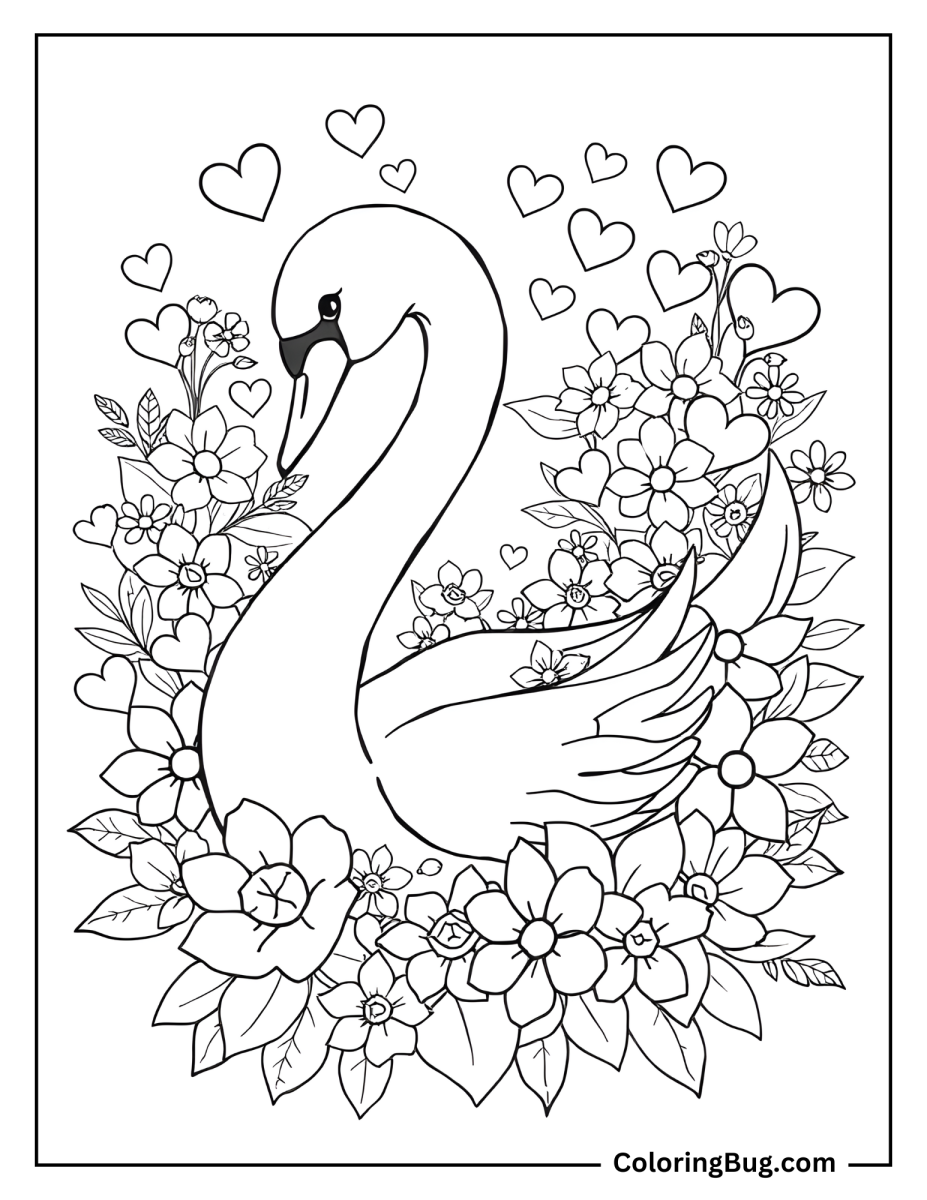 26 Swan Coloring Pages (Free Printable PDFs)