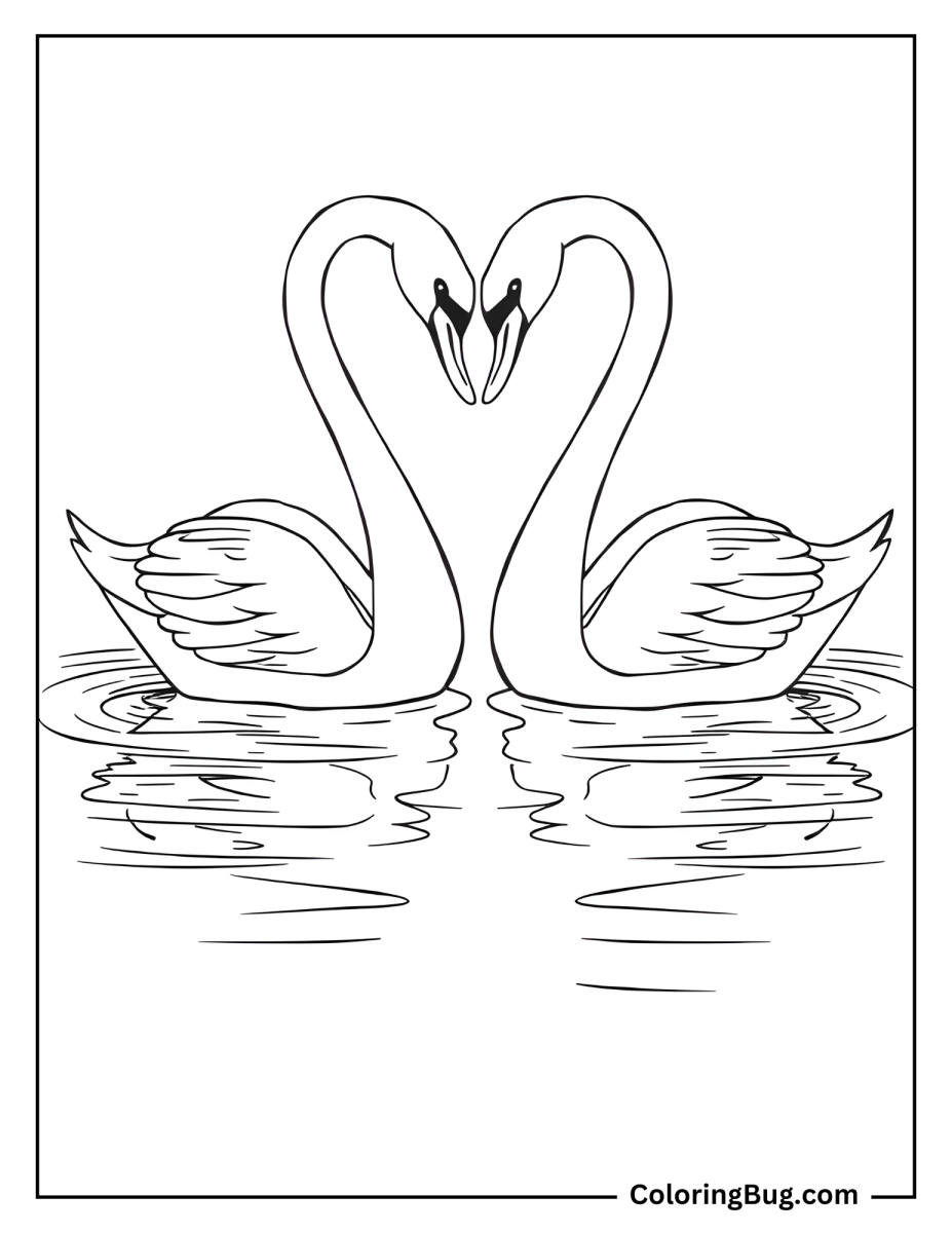 26 Swan Coloring Pages (Free Printable PDFs)