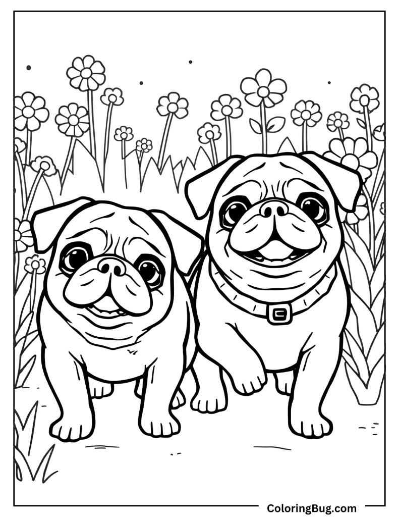 32 Cute Pug Coloring Pages (Free Printable PDFs)