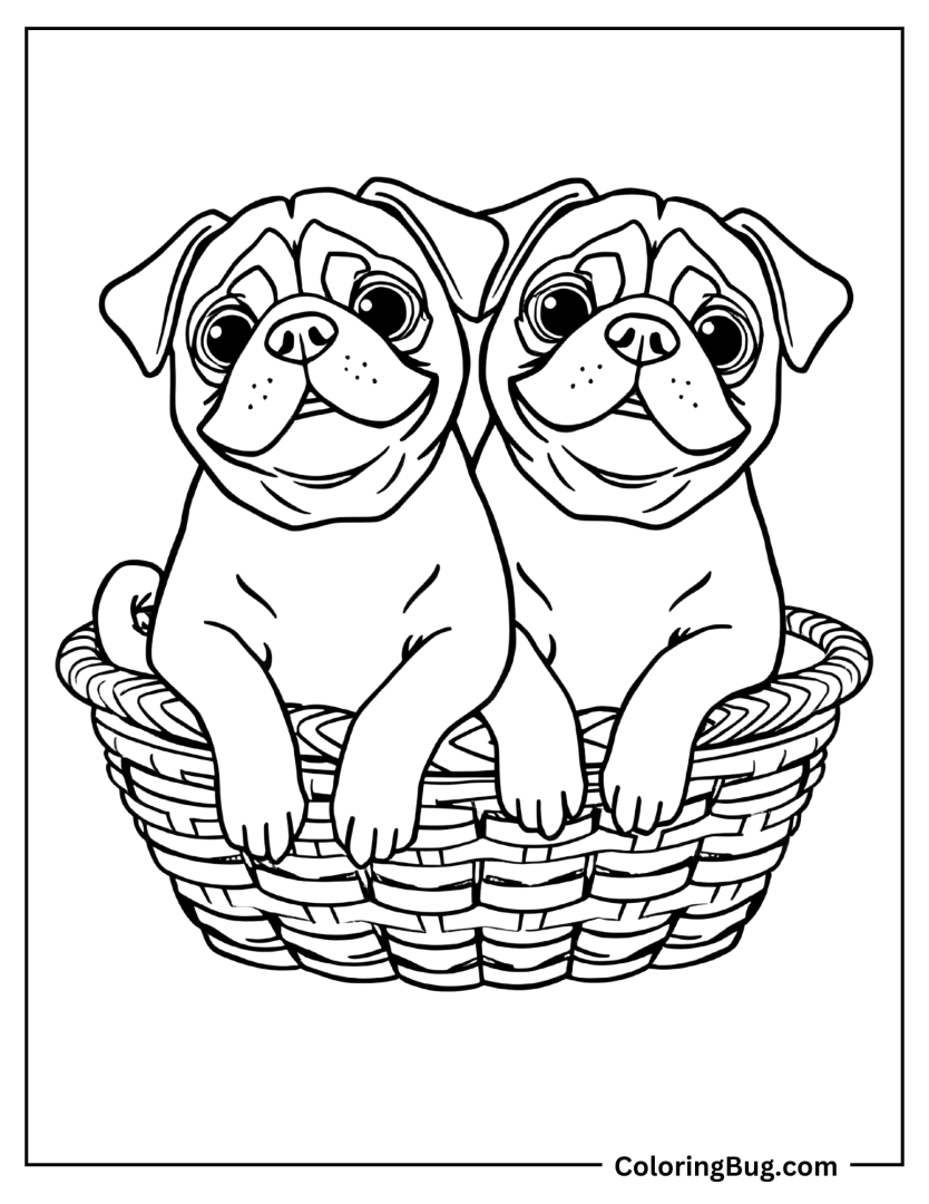 32 Cute Pug Coloring Pages (Free Printable PDFs)