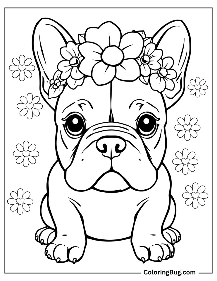 30 French Bulldog Coloring Pages (Free Printable PDFs)