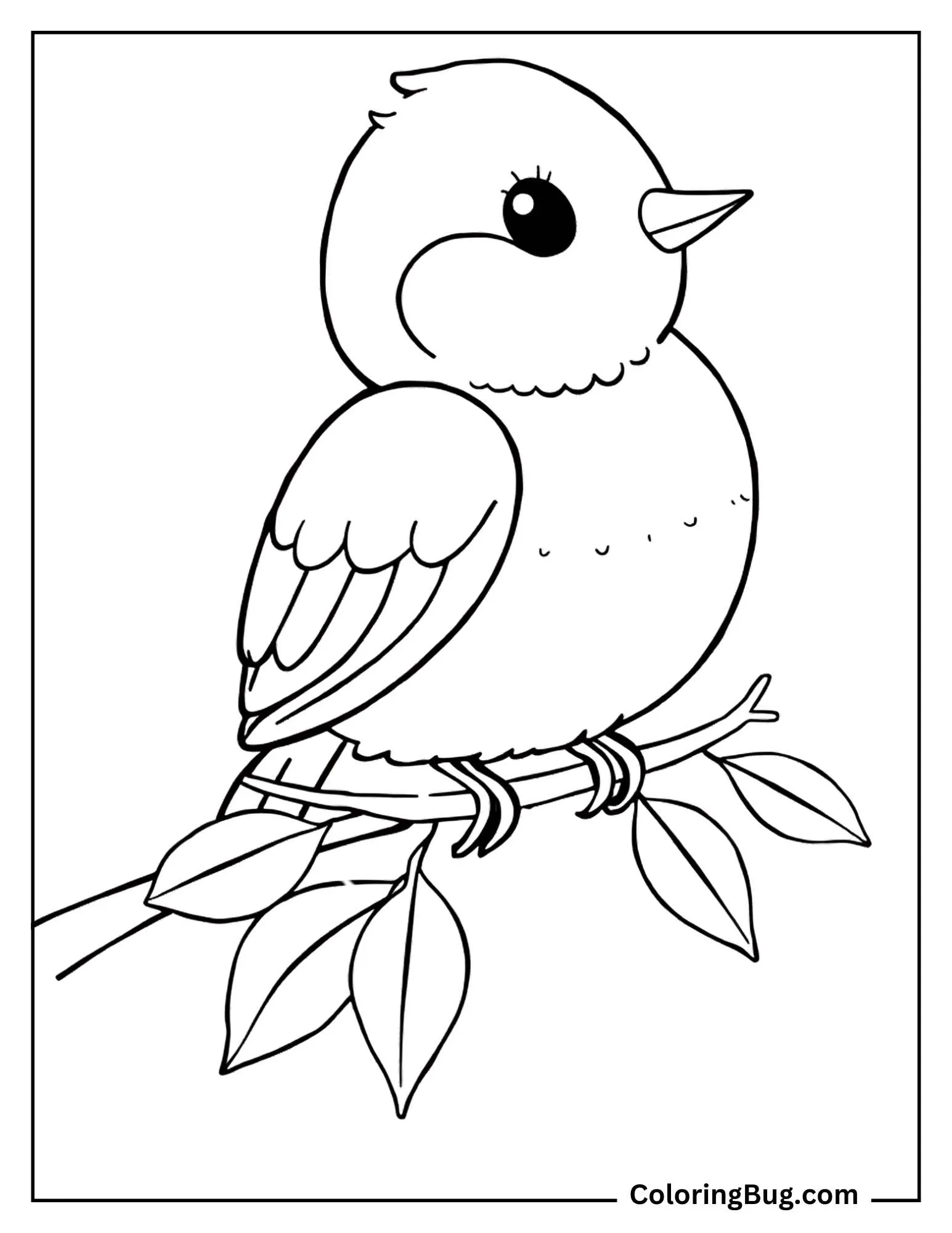 175+ Cute Bird Coloring Pages (Free Printable PDFs)