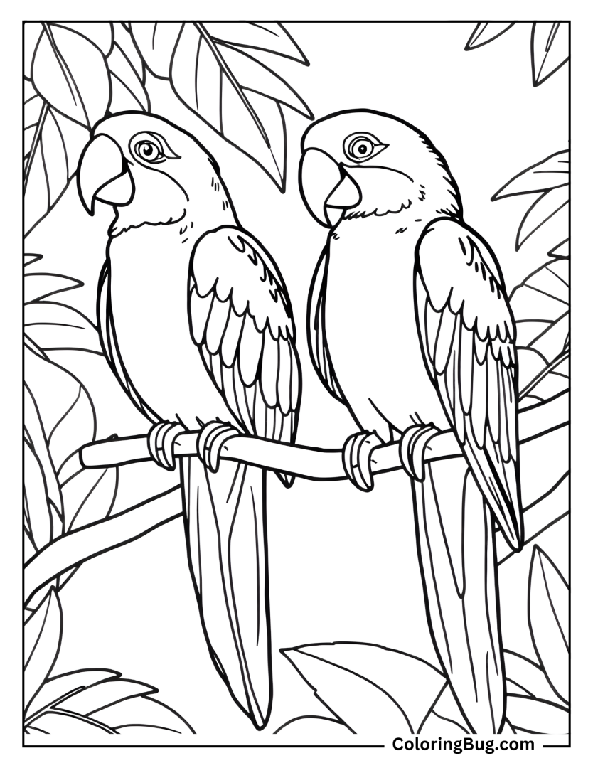 50 Parrot Coloring Pages (Free Printable PDFs)