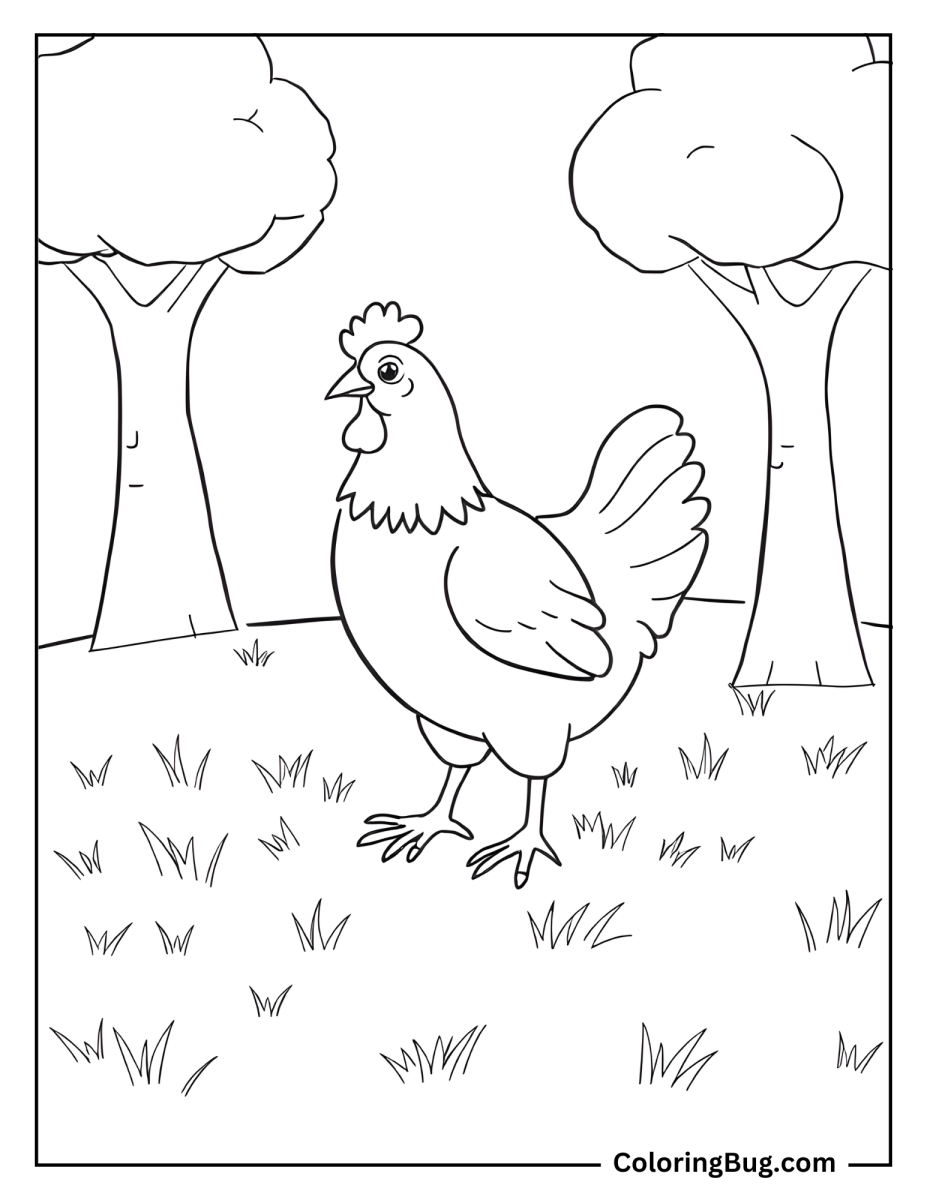 40 Chicken Coloring Pages (Free Printable PDFs)