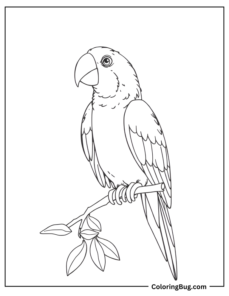 54 Parrot Coloring Pages (Free Printable PDFs)